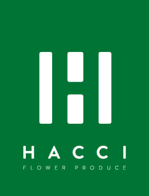 名古屋｜トータルグリーン・フラワープロデュース・空間演出 HACCI